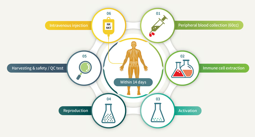 NK Cell Therapy | NK Biocell