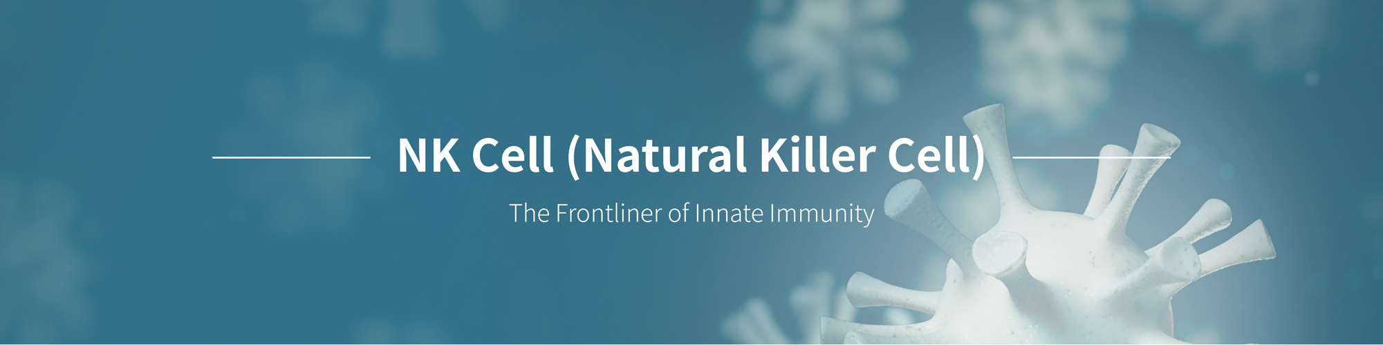 What is NK Cell? | NK Biocell
