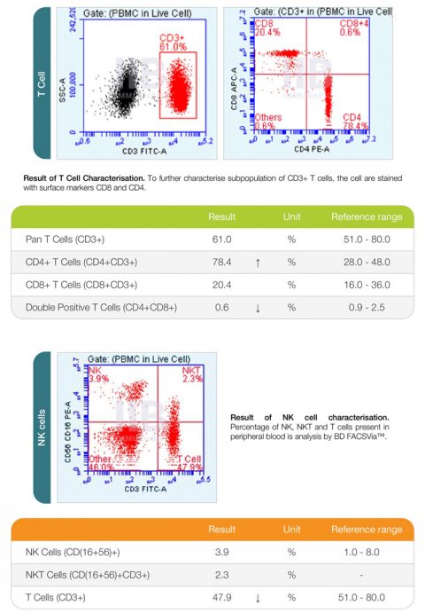 Cell Characterization | NK Biocell