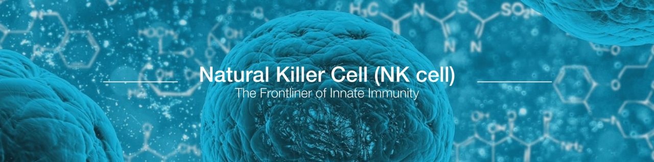 Natural Killer Cell (NK cell) | NK Biocell
