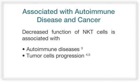 Natural Killer T Cell (NKT cell) | NK Biocell